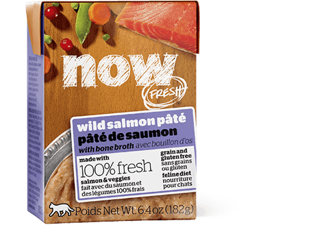 The 9 Most Expensive Cat Foods - Pet Food Reviewer